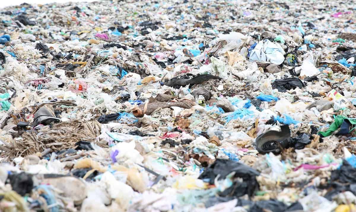 The Plastic Pollution Crisis In 2024: Unveiling Its Impact On The ...